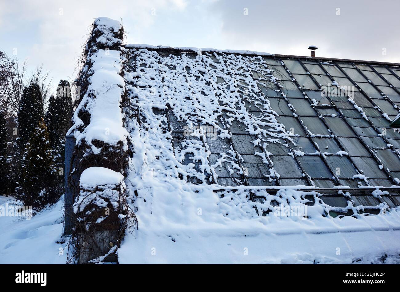 Glass roof building nature hi-res stock photography and images - Alamy