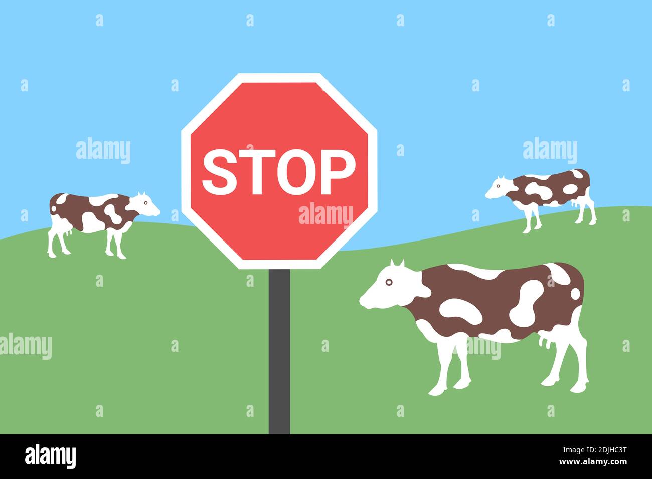 Grazing Cow and cattle on pasture as dangerous animal - warning sign in ...
