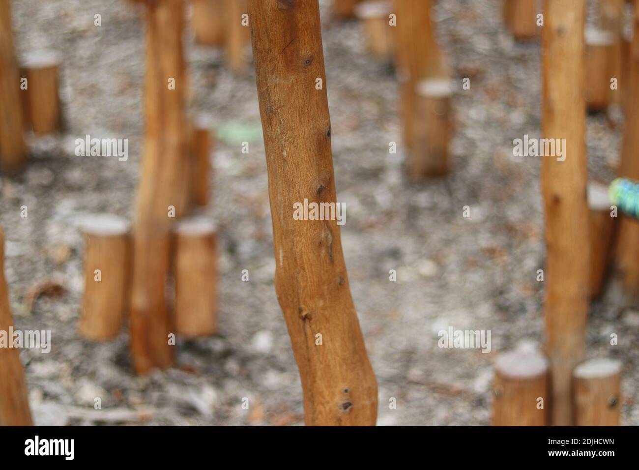 Fullframe closeup view of multiple wooden posts next to each other with ...