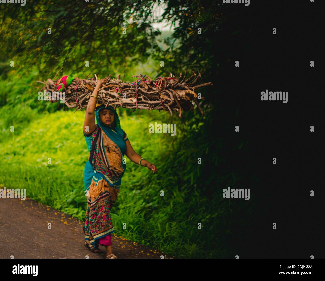 Indian women carrying firewood hi-res stock photography and images - Alamy