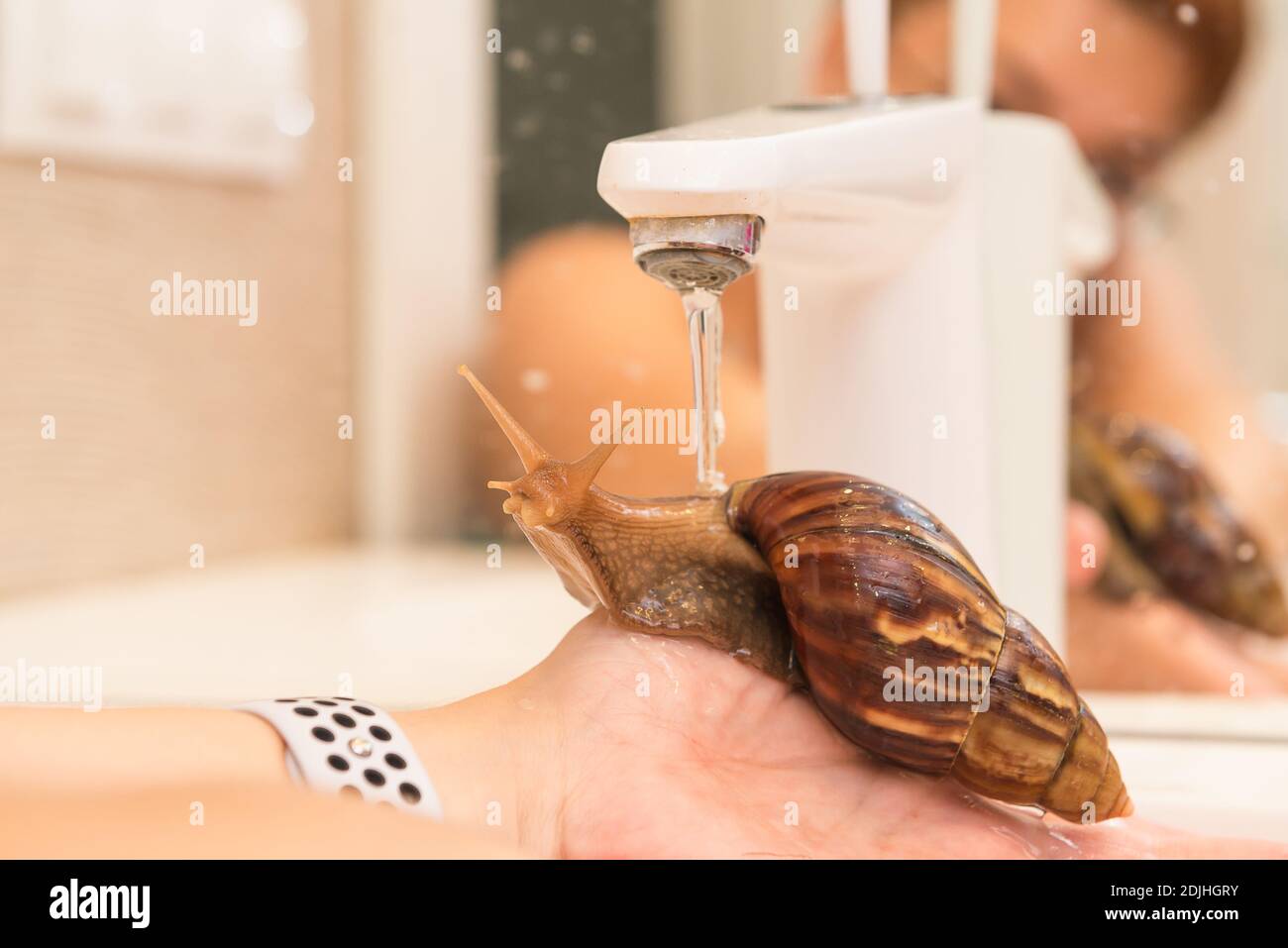 Faucet snail hi-res stock photography and images - Alamy