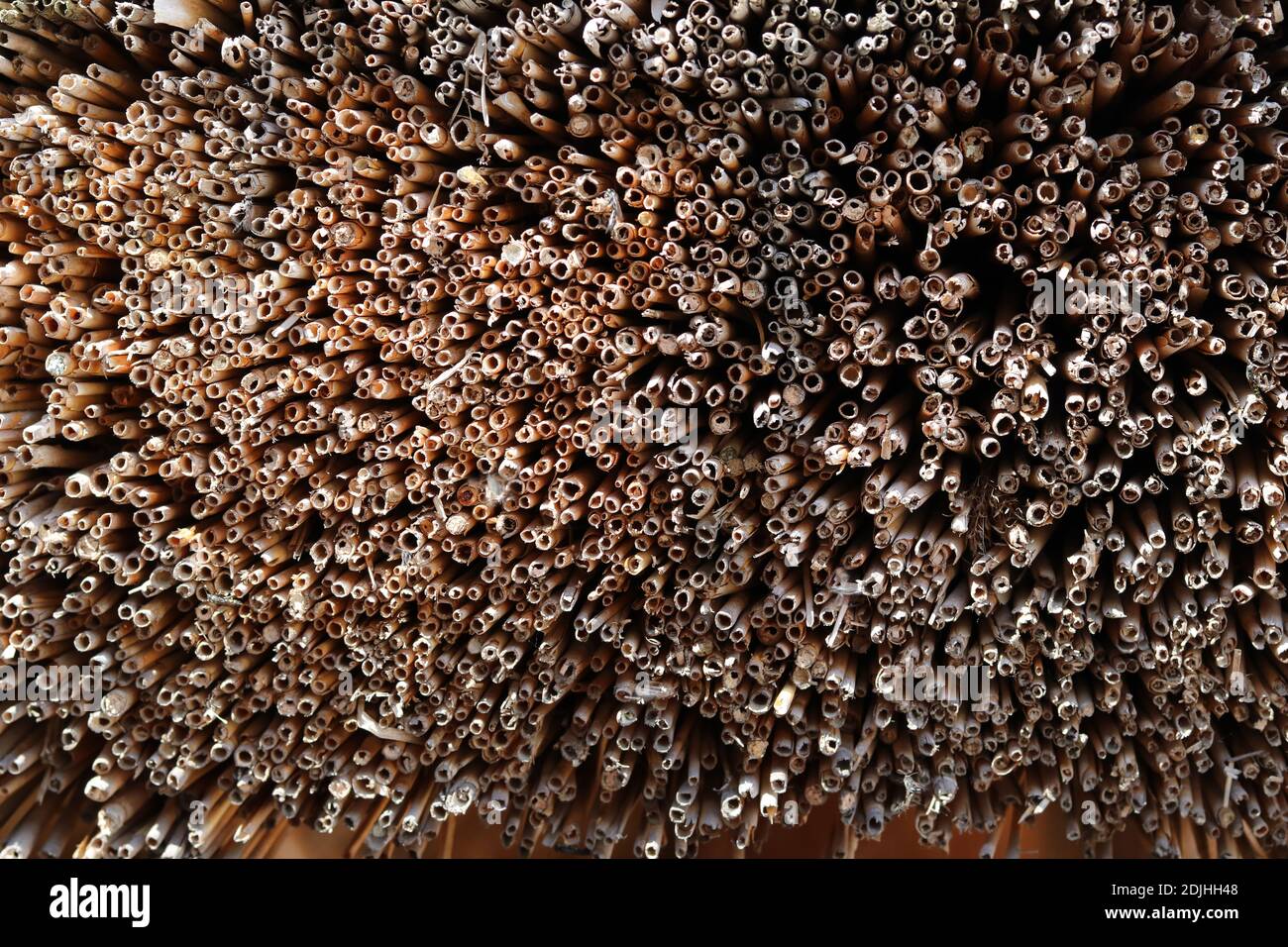 View of multiple straw straws together as a background Stock Photo - Alamy