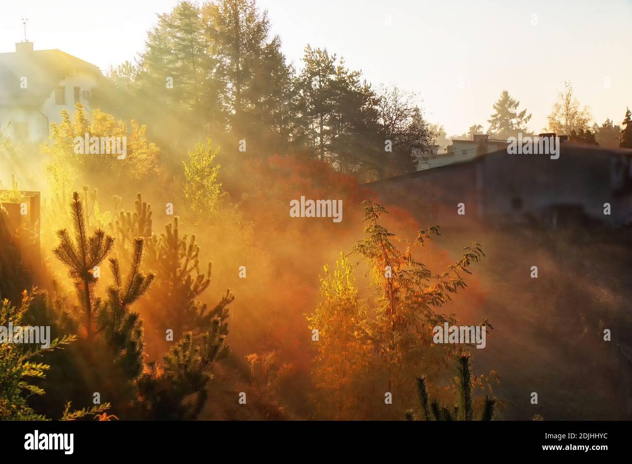 Golden sun rays hi-res stock photography and images - Alamy