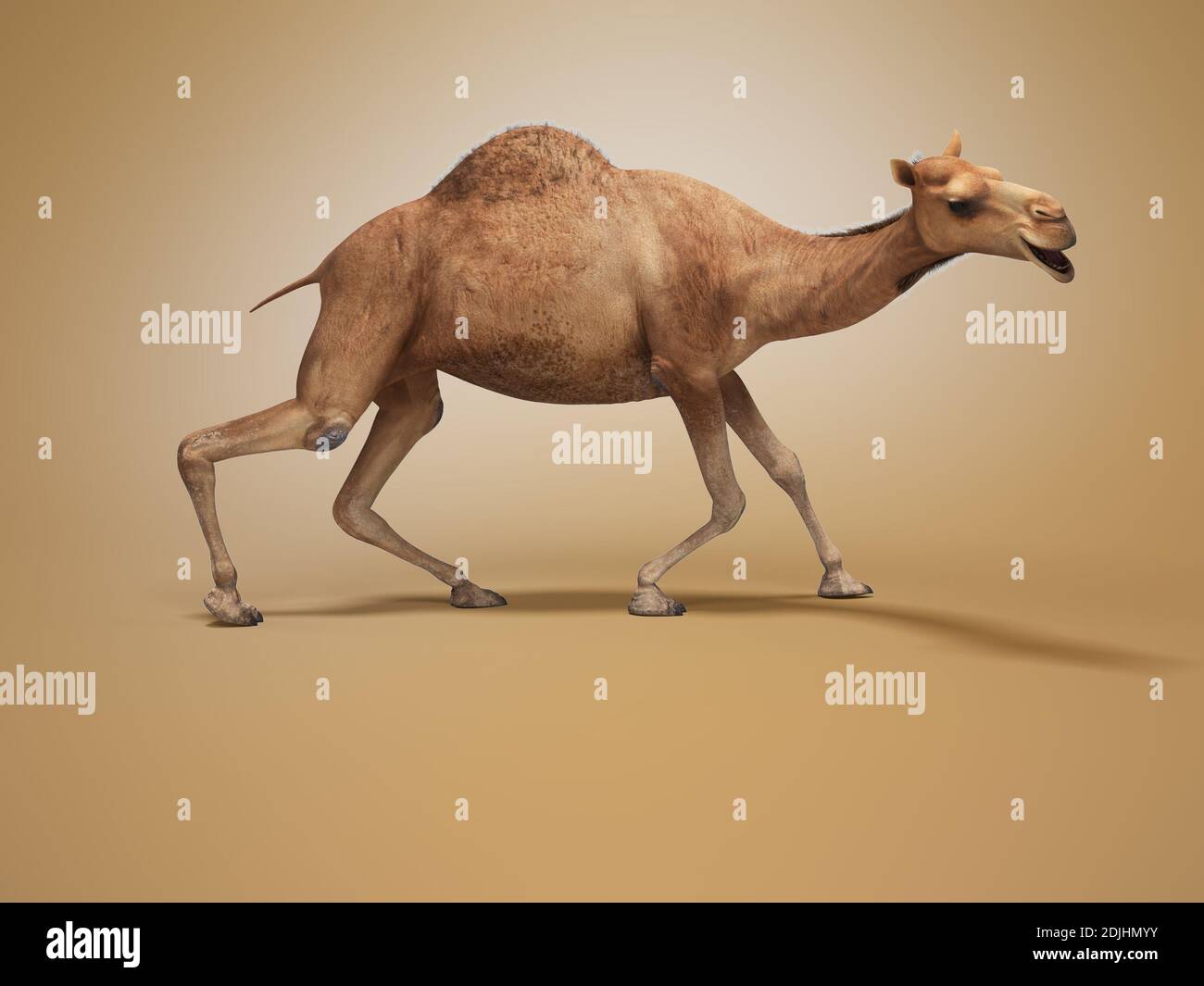 Camel on weak legs 3d rendering on orange background with shadow Stock ...