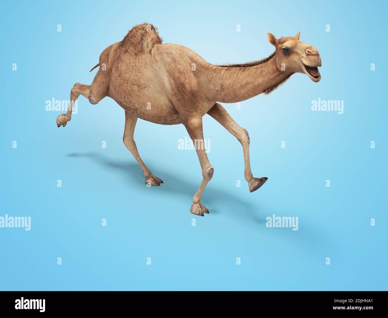 3d animal screen hi-res stock photography and images - Alamy