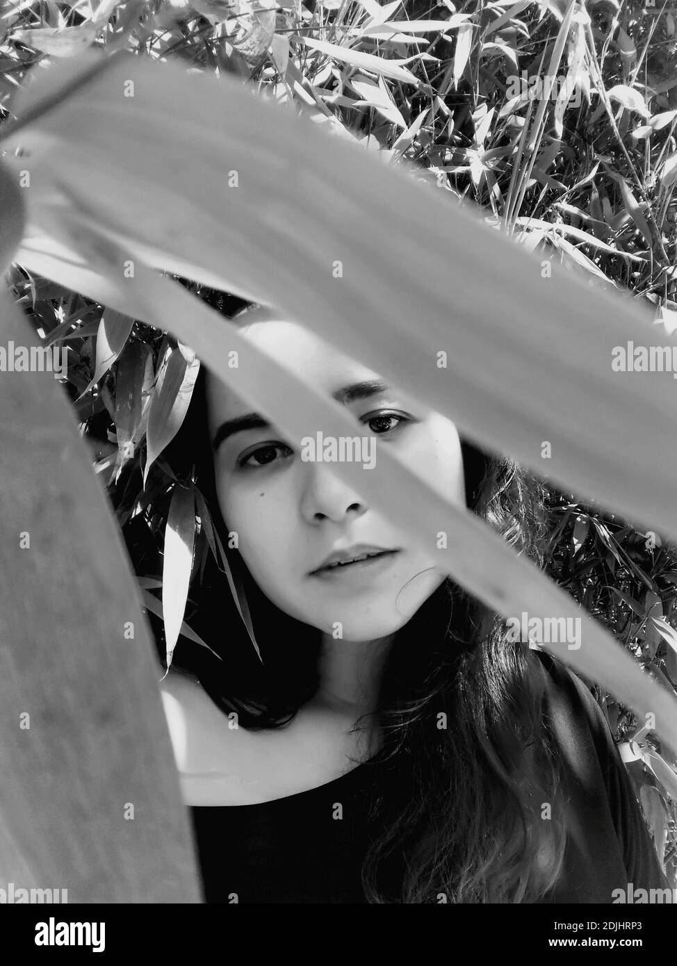 Beautiful woman face behind leaf Black and White Stock Photos & Images ...
