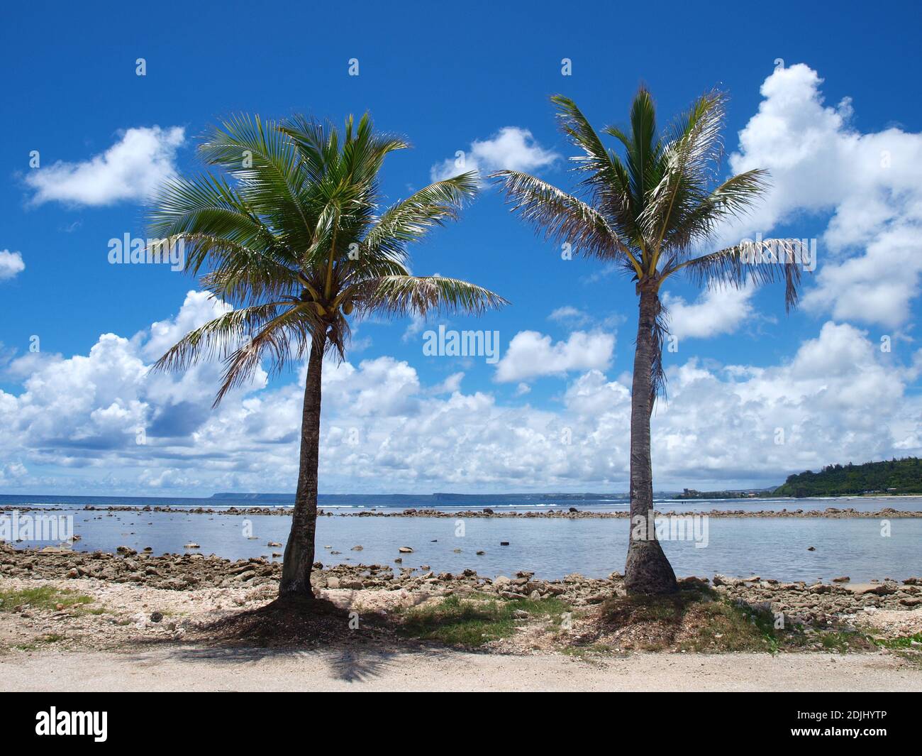 Palm tree guam hi-res stock photography and images - Alamy