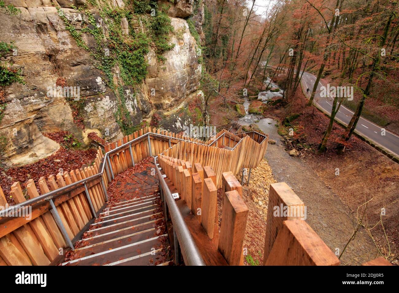 Hiking trail in Mullerthal, Luxembourg Switzerland, Grand Duchy of ...