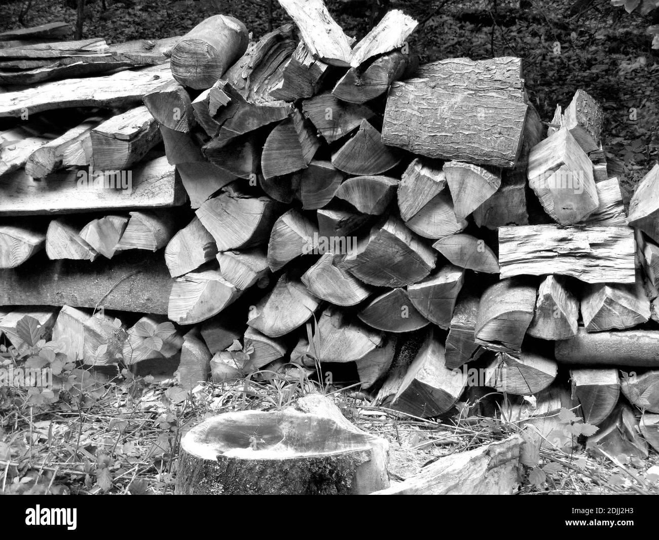 Stack of tree logs Black and White Stock Photos & Images - Alamy