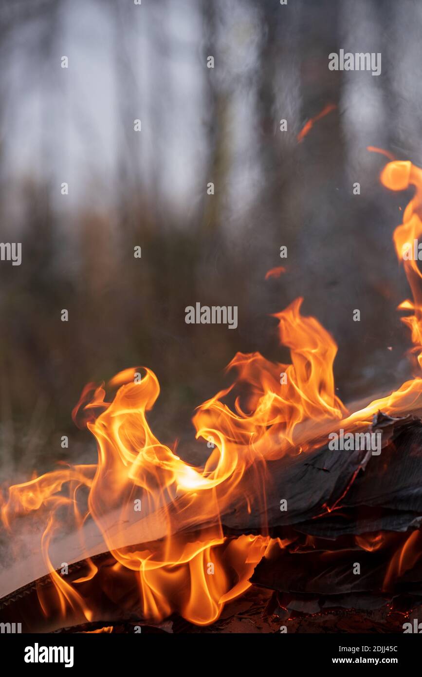 Burning pile of cardboard and waste paper Stock Photo - Alamy