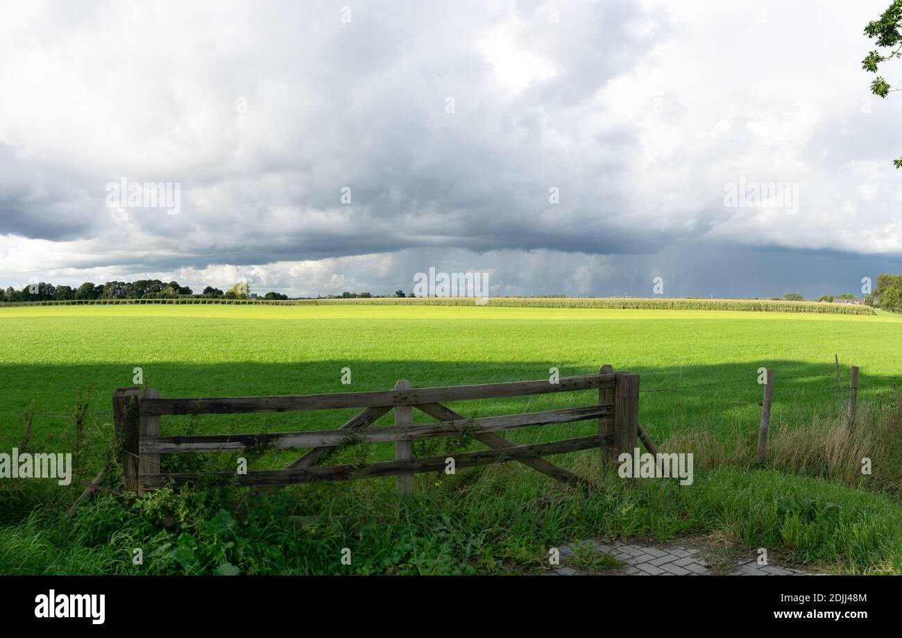 Green field of grass with heavy rain clouds and sunshine panoramic view ...
