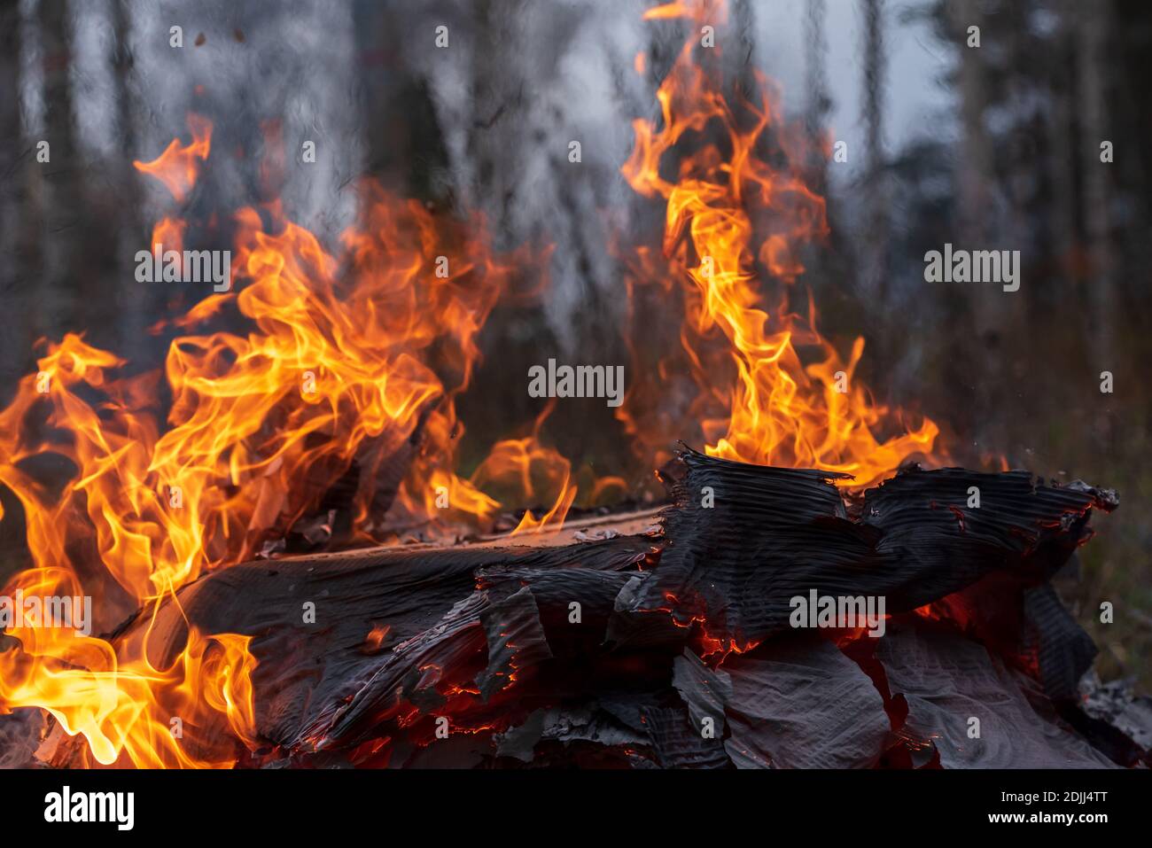 Burning pile of cardboard and waste paper Stock Photo - Alamy