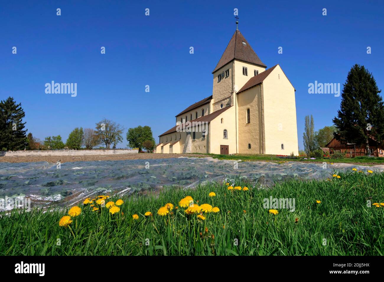 Church of St. Georg in Reichenau-Oberzell, Reichenau Island, Lake ...