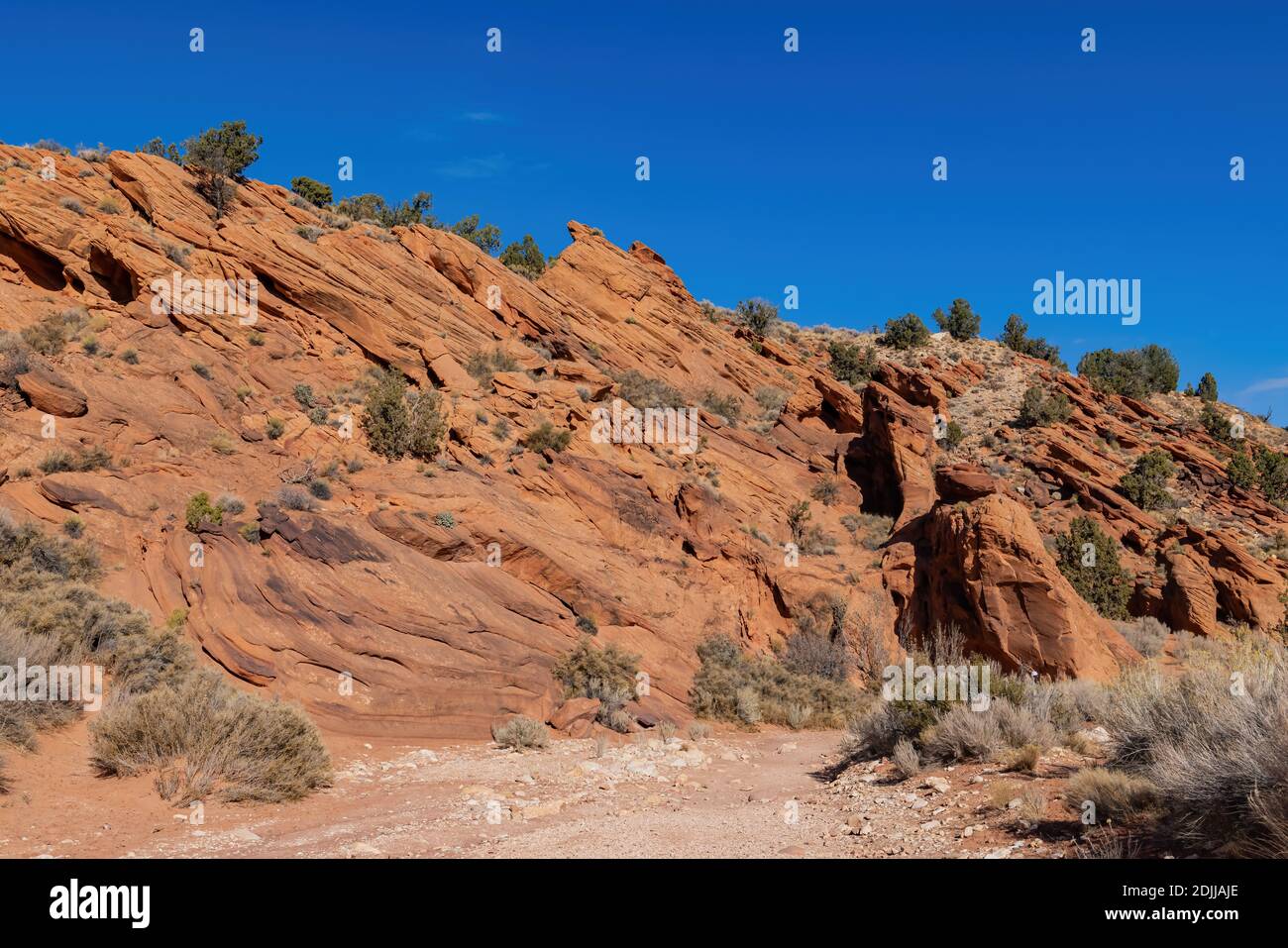 Wire Pass Trail High Resolution Stock Photography and Images - Alamy