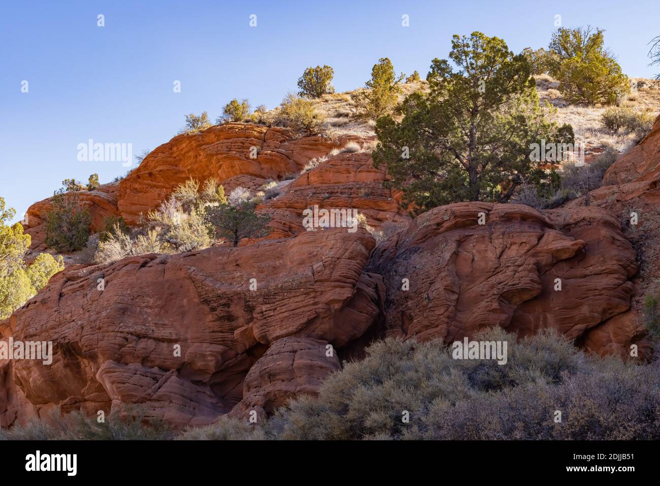 Beautiful landscape around Wire Pass Trail at Utah Stock Photo - Alamy