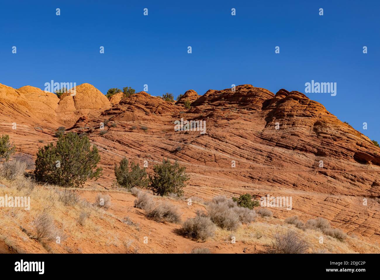 Wire pass trail hi-res stock photography and images - Alamy