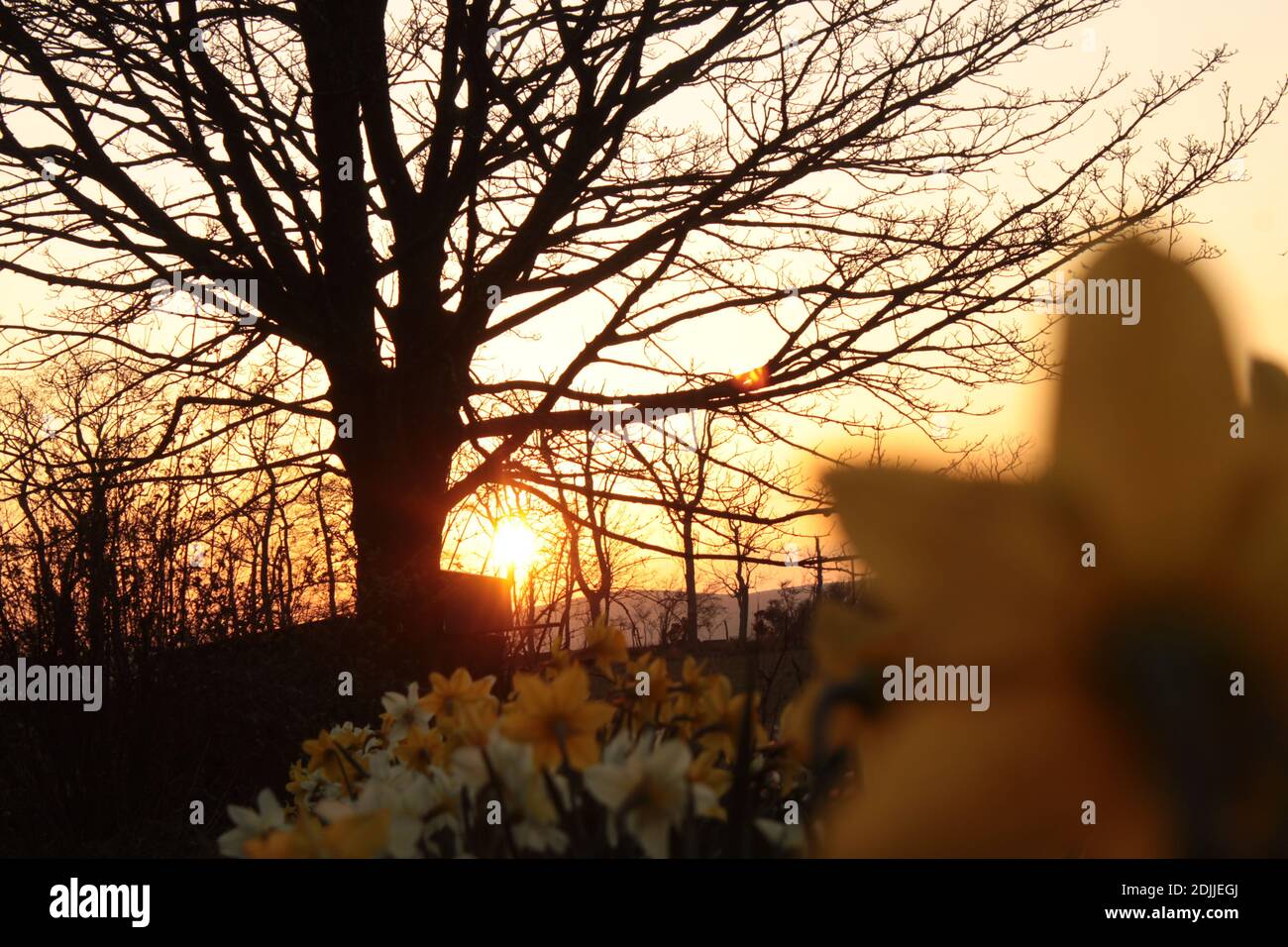 Nice sunset hi-res stock photography and images - Alamy