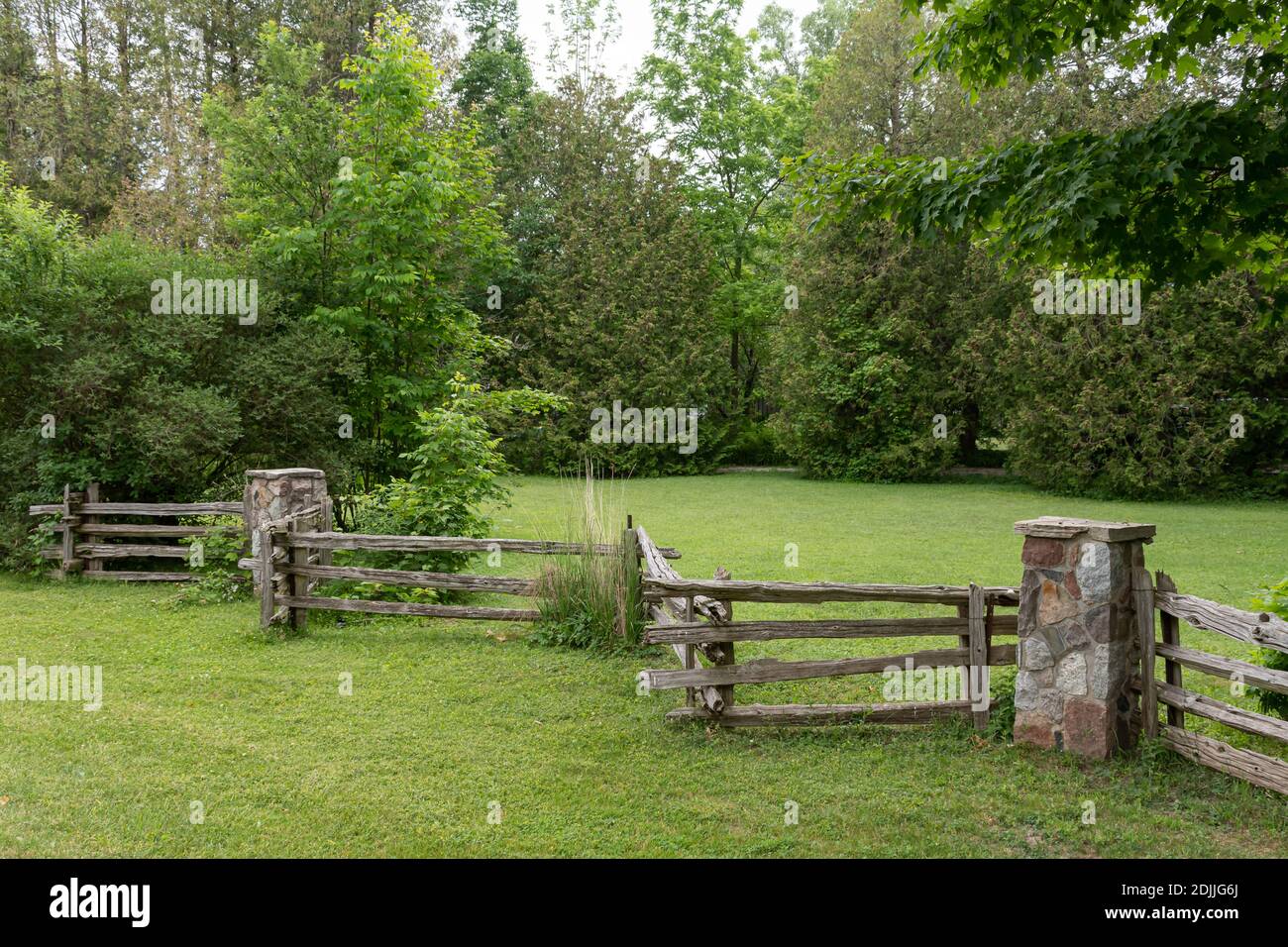 A rustic fence cuts a swath through a lush summer meadow Stock Photo ...