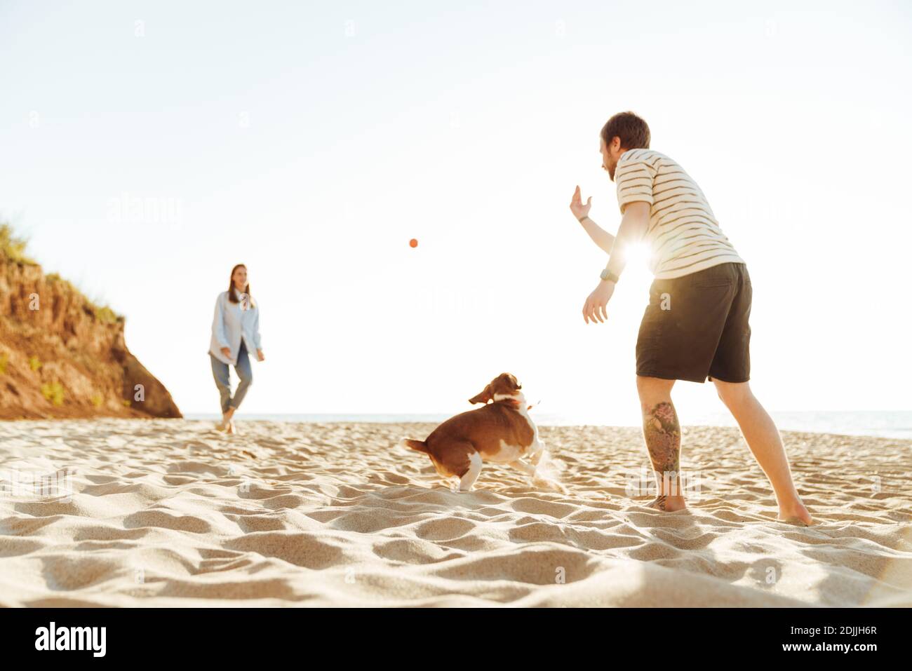 Photo of a young amazing loving couple playing with dog outside at the ...