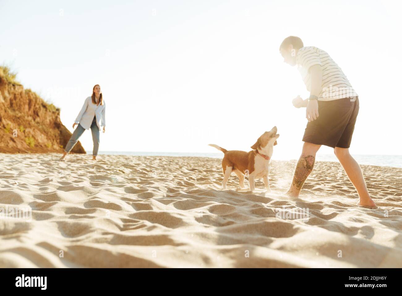 Photo of a young amazing loving couple with dog outside at the beach ...