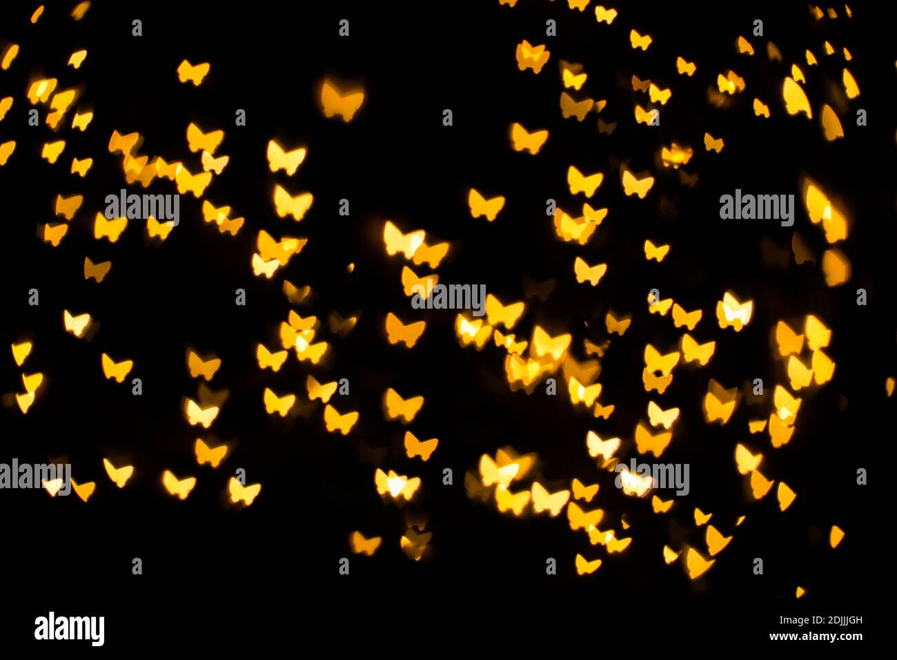 Illuminated butterfly hi-res stock photography and images - Alamy