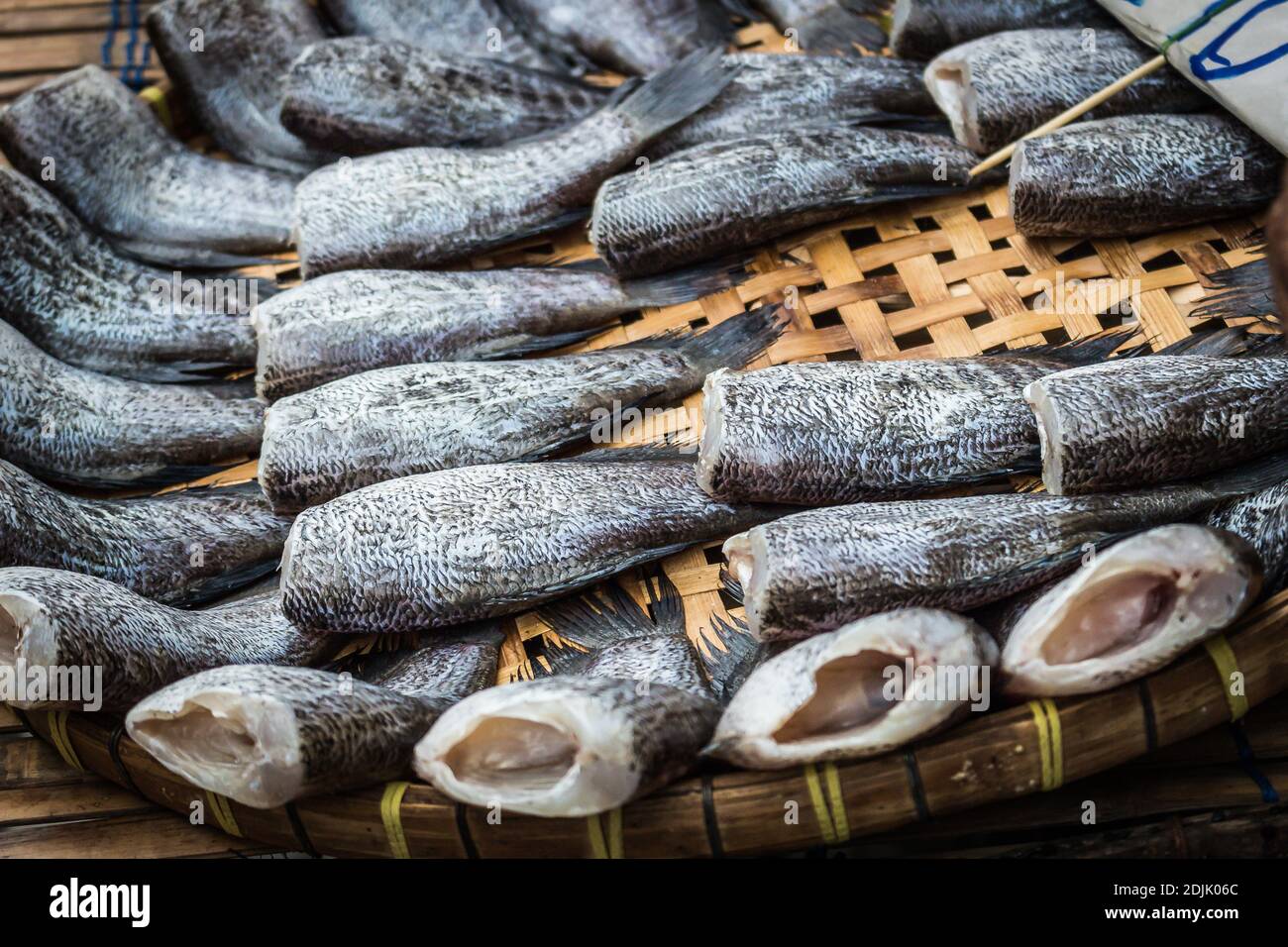 Sepat High Resolution Stock Photography and Images - Alamy