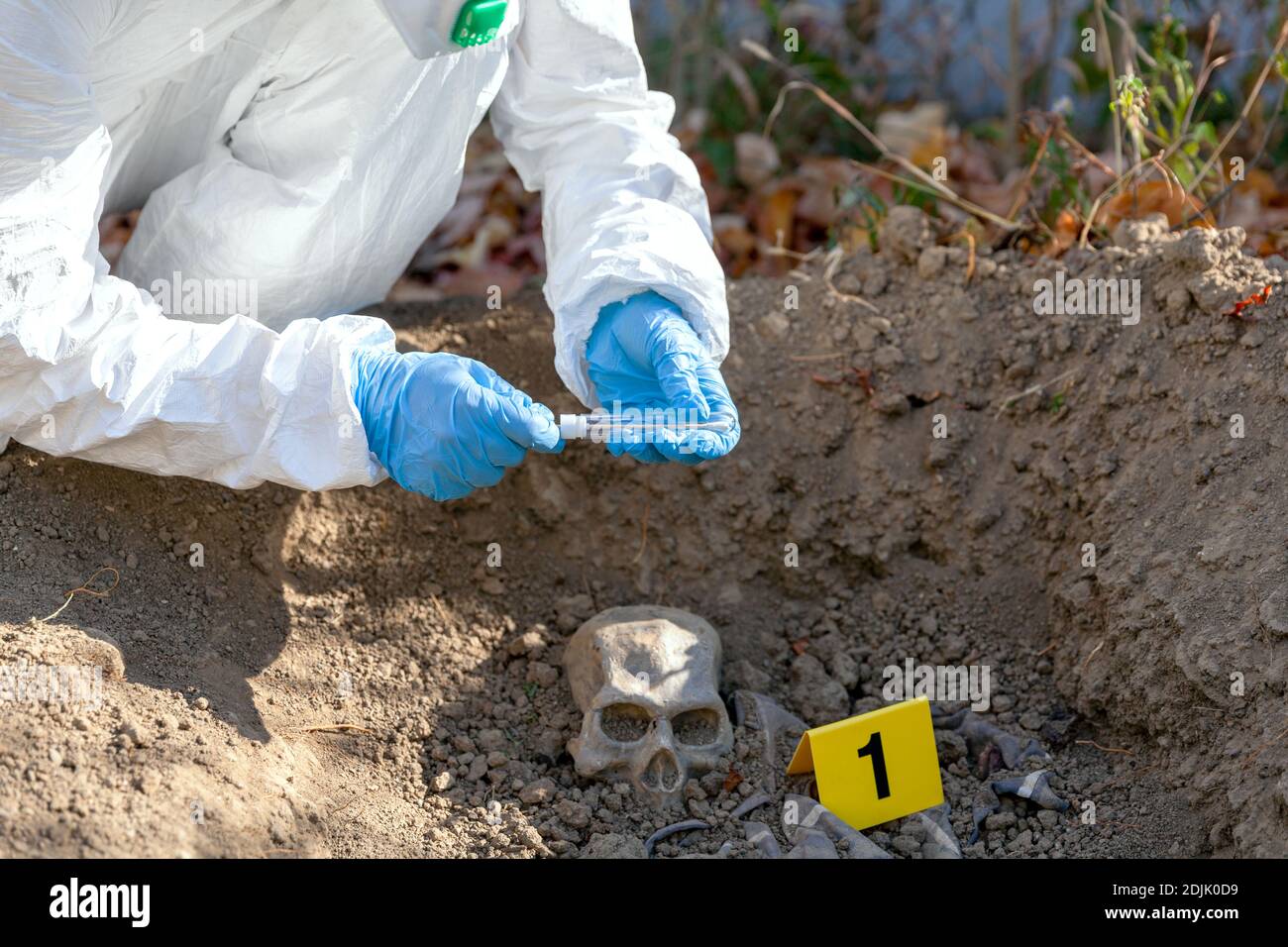 Crime scene investigation. Forensic science specialist at work Stock Photo - Alamy
