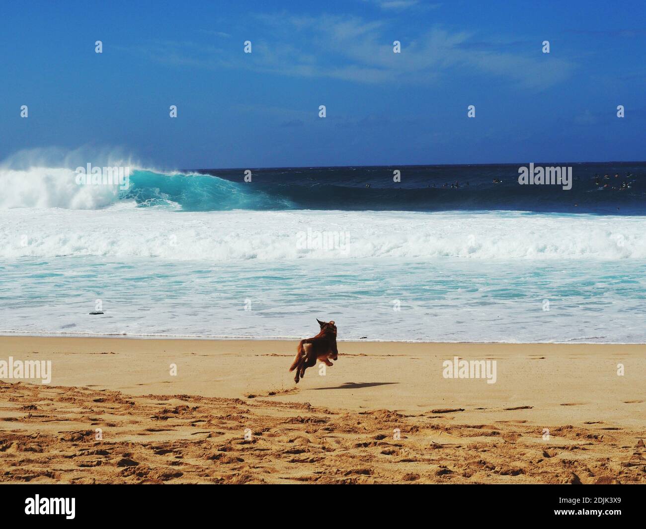 Mililani hawaii hi-res stock photography and images - Alamy