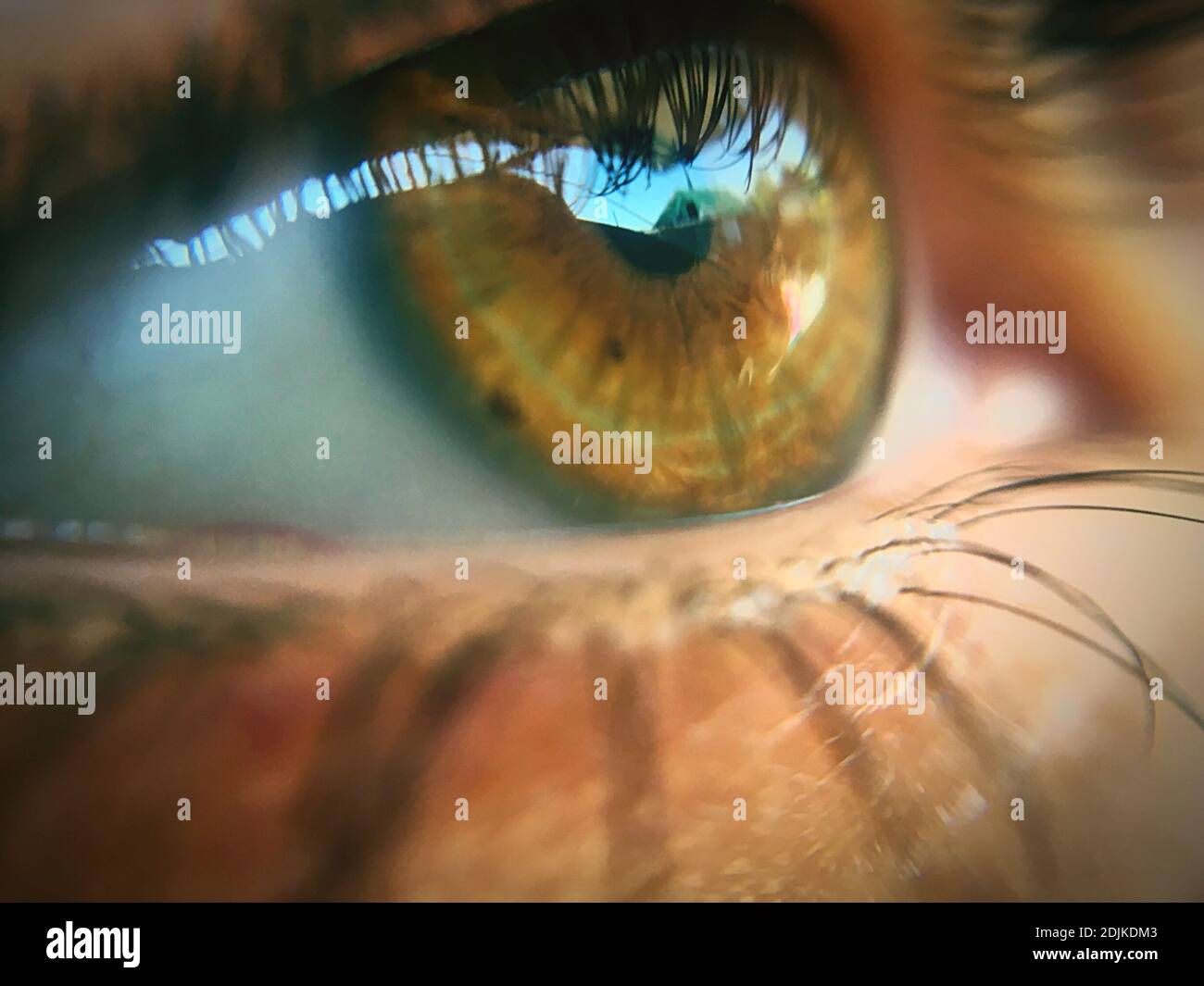 Human eyeball hi-res stock photography and images - Alamy