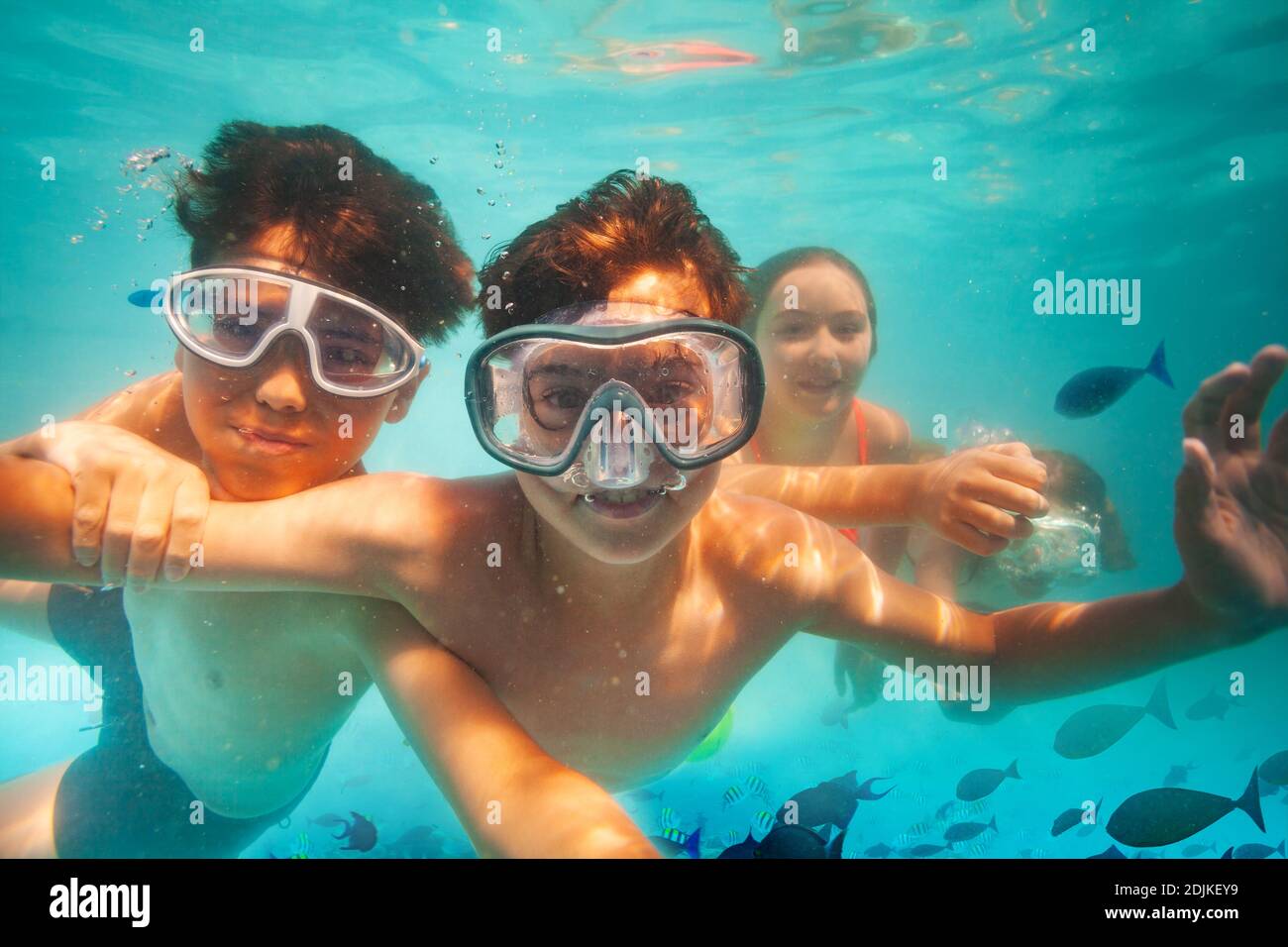 Kids swimming underwater summer friends hi-res stock photography and ...