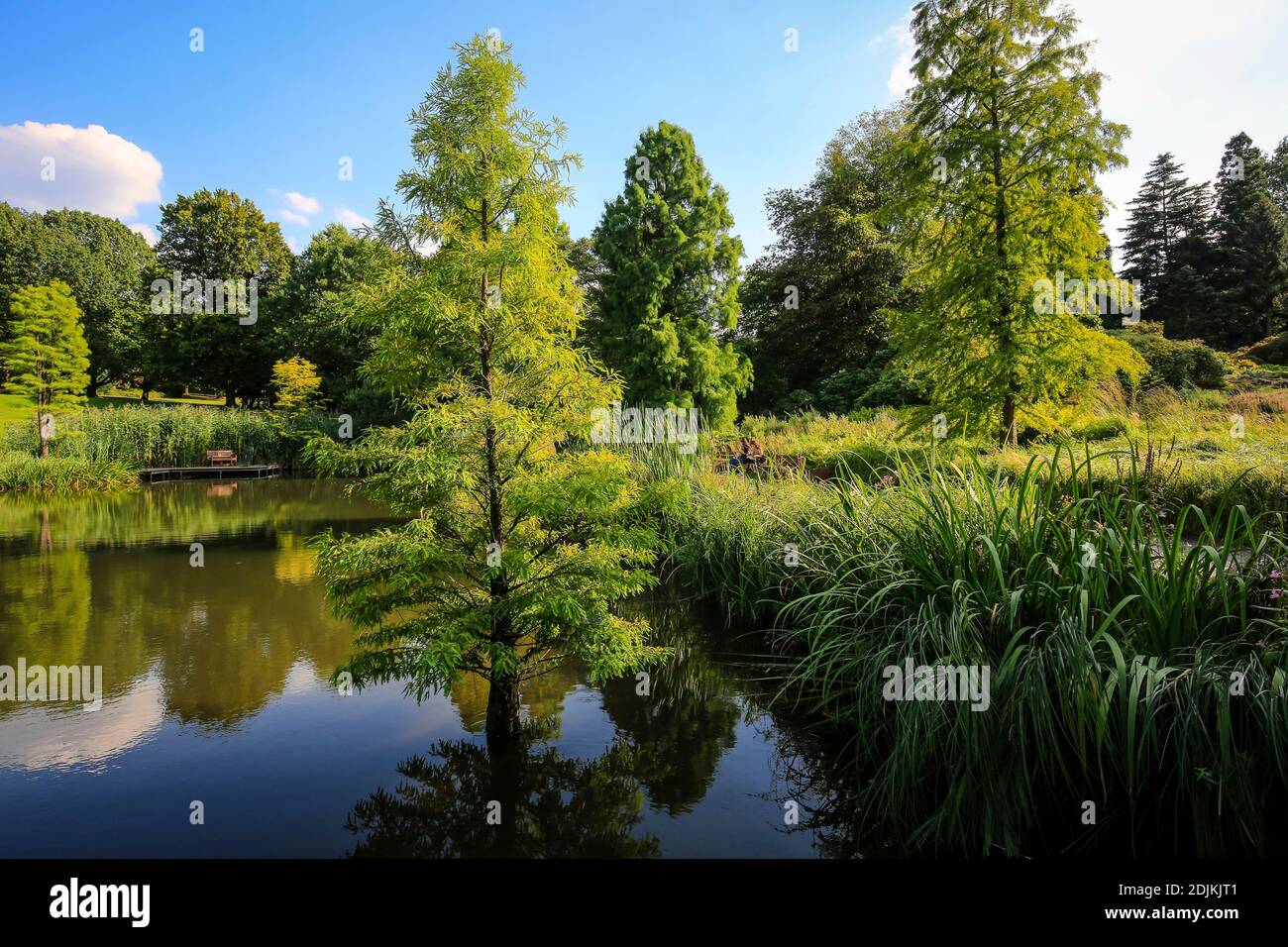 Horticultural scene hi-res stock photography and images - Alamy