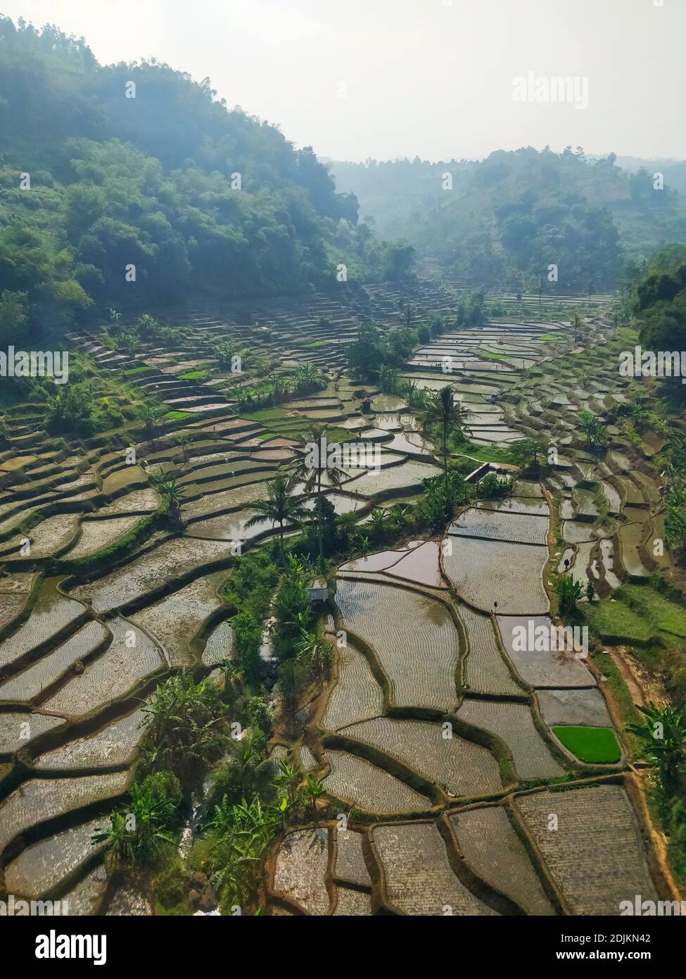 Green terace hi-res stock photography and images - Alamy