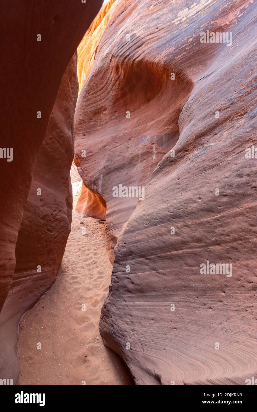 Beautiful landscape around Buckskin Gulch slot canyon at Utah Stock ...