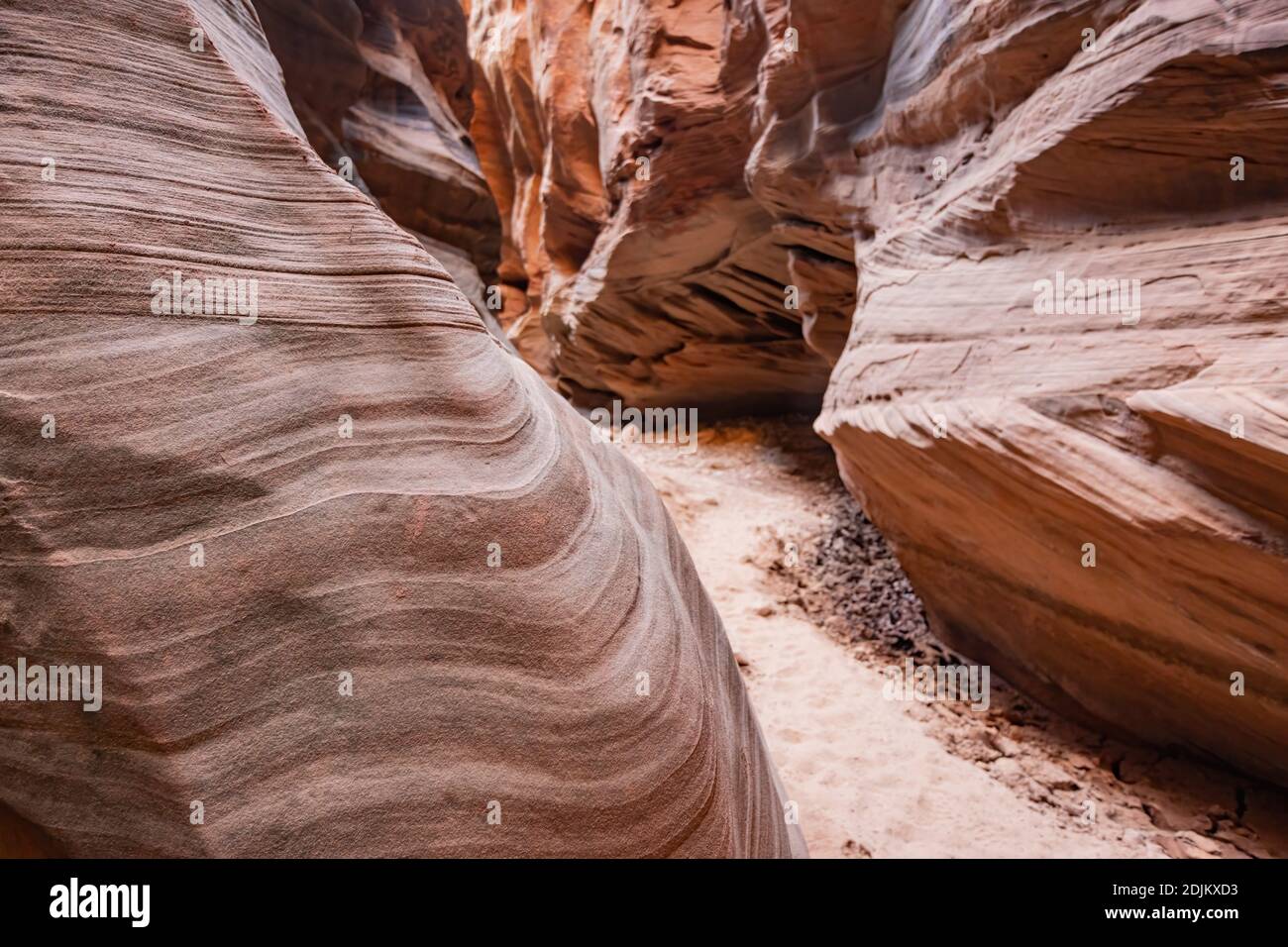 Beautiful landscape around Buckskin Gulch slot canyon at Utah Stock ...