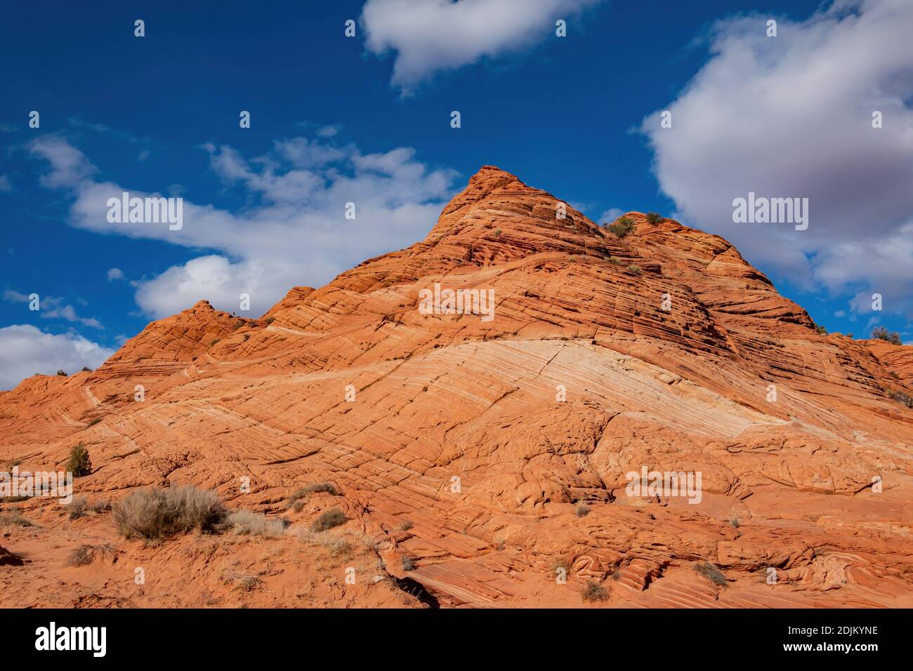 Wire pass trail hi-res stock photography and images - Alamy