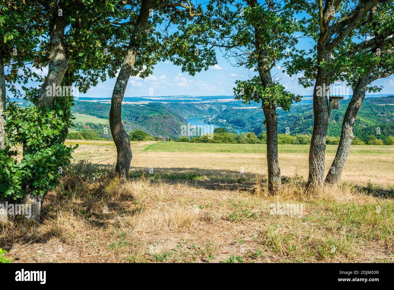 Middle Rhine between St. Goar and Hirzenach vantage point near Rheinbay ...