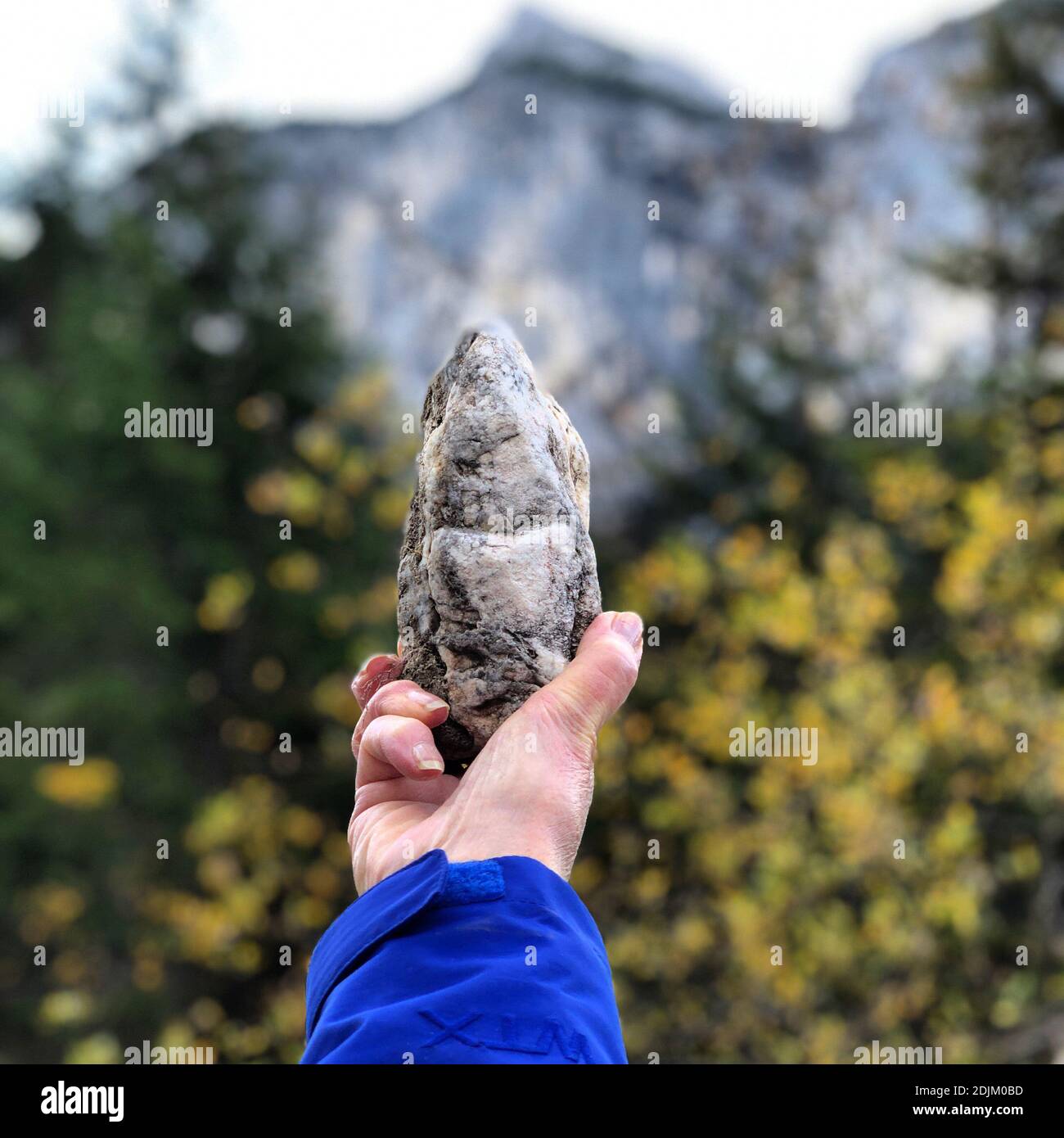 Stone hand holding tree hi-res stock photography and images - Alamy