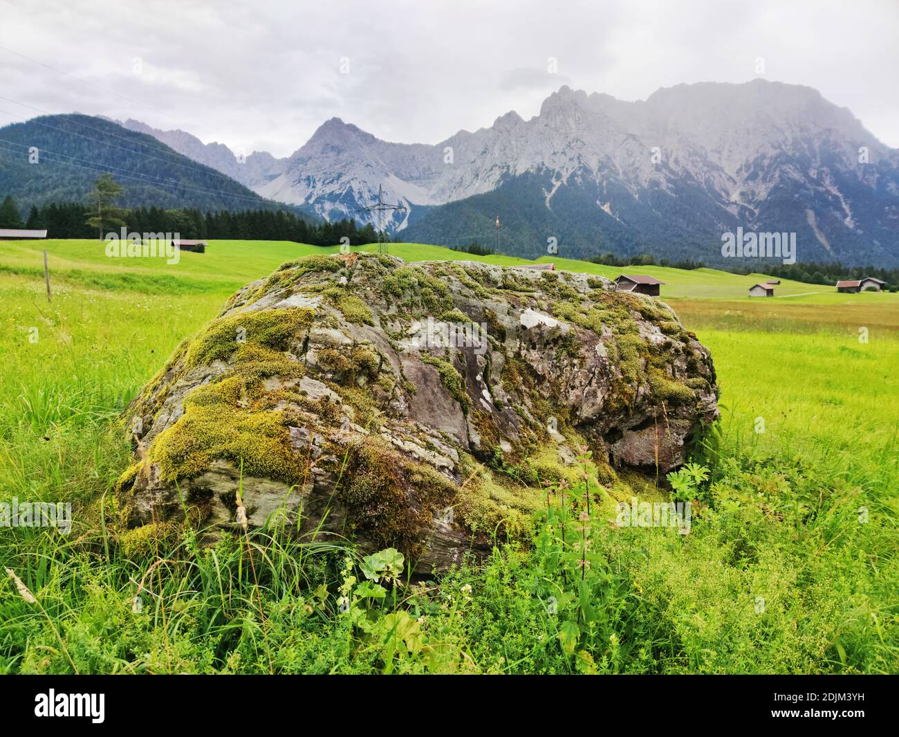 Ice age boulder on the humpback meadows a classified natural monument ...