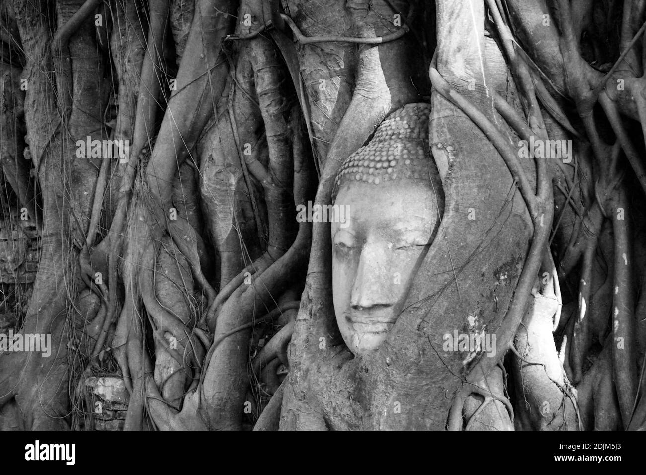 India famous people statue Black and White Stock Photos & Images - Alamy
