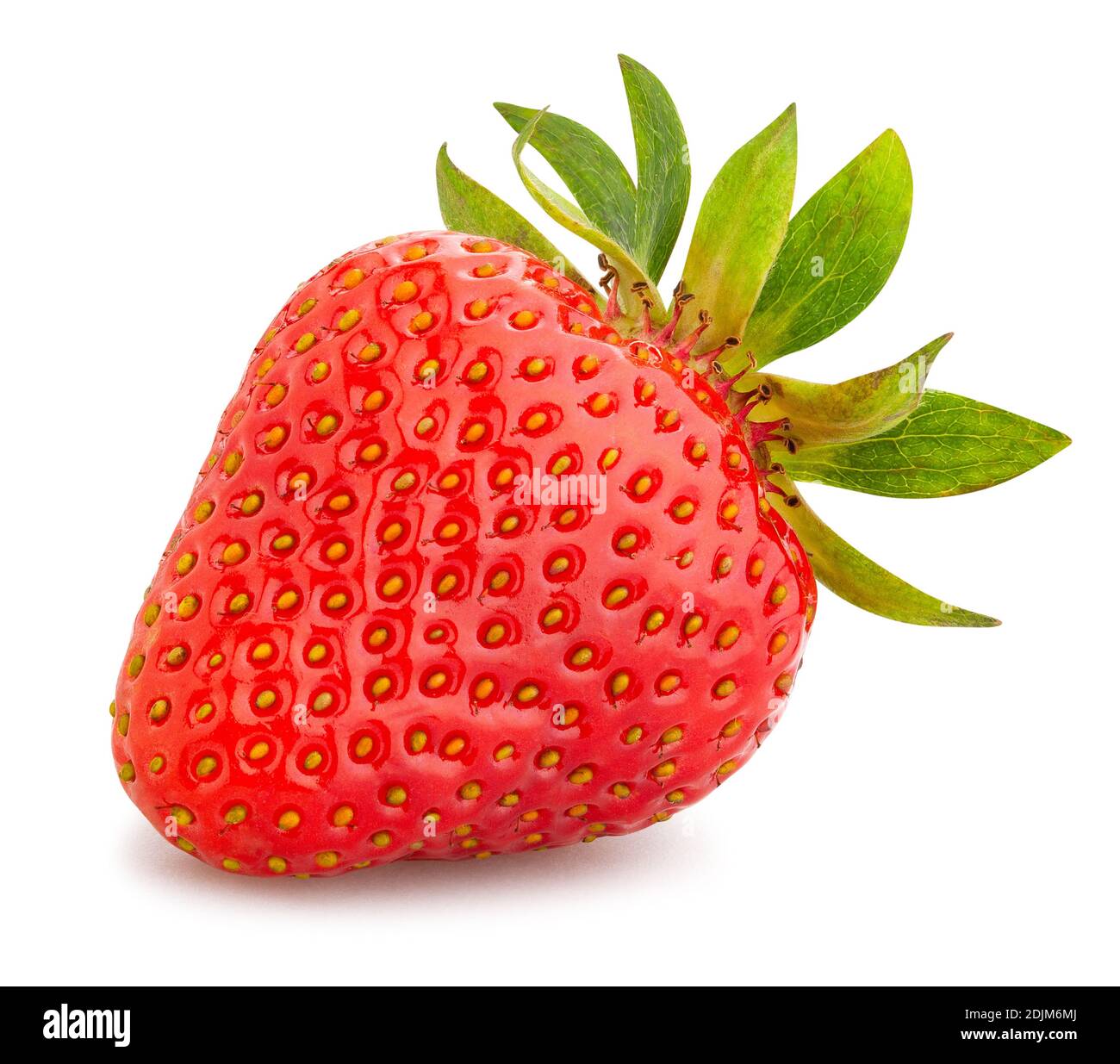 strawberry path isolated on white Stock Photo - Alamy
