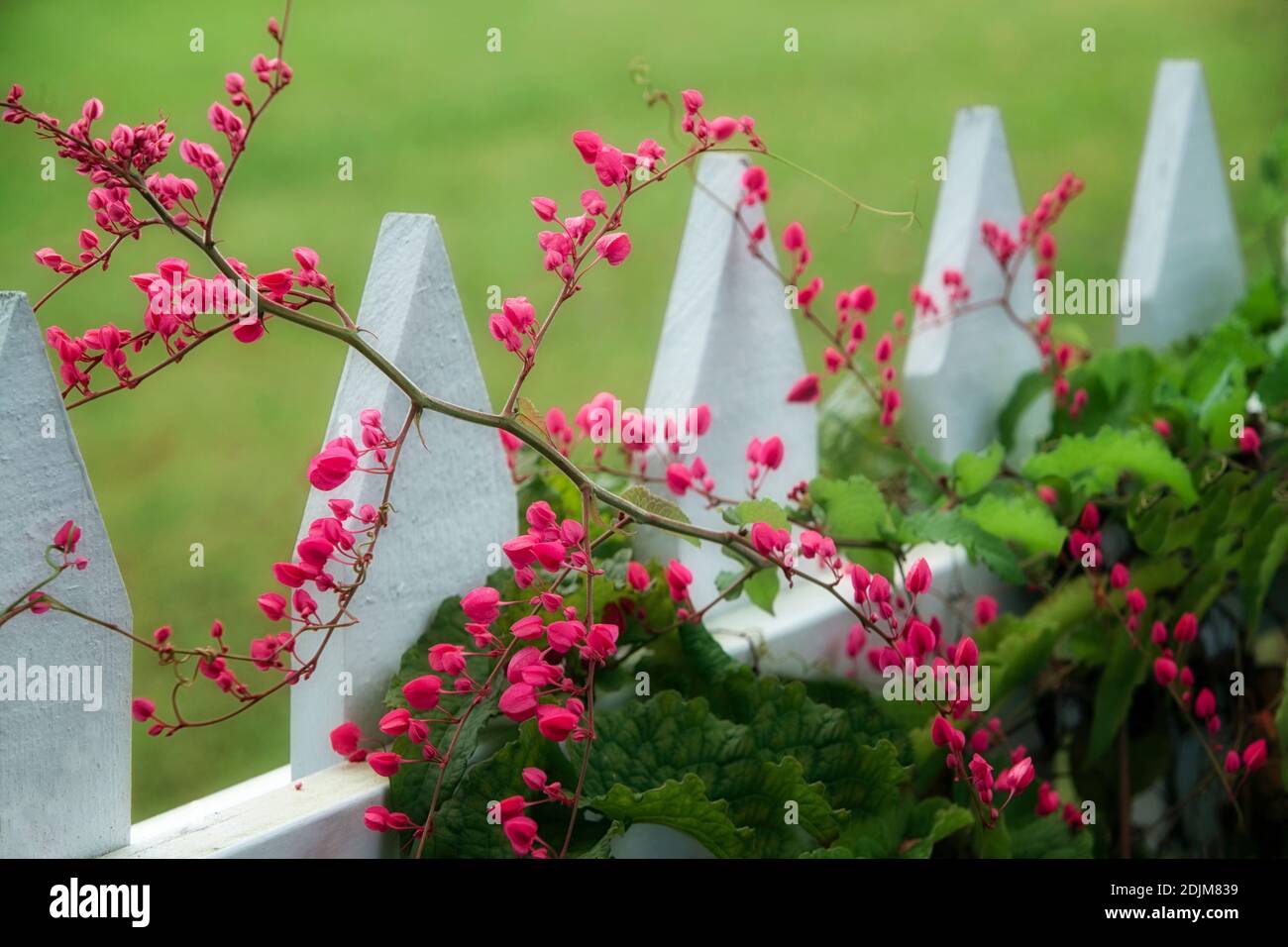 Ha ha fence hi-res stock photography and images - Alamy