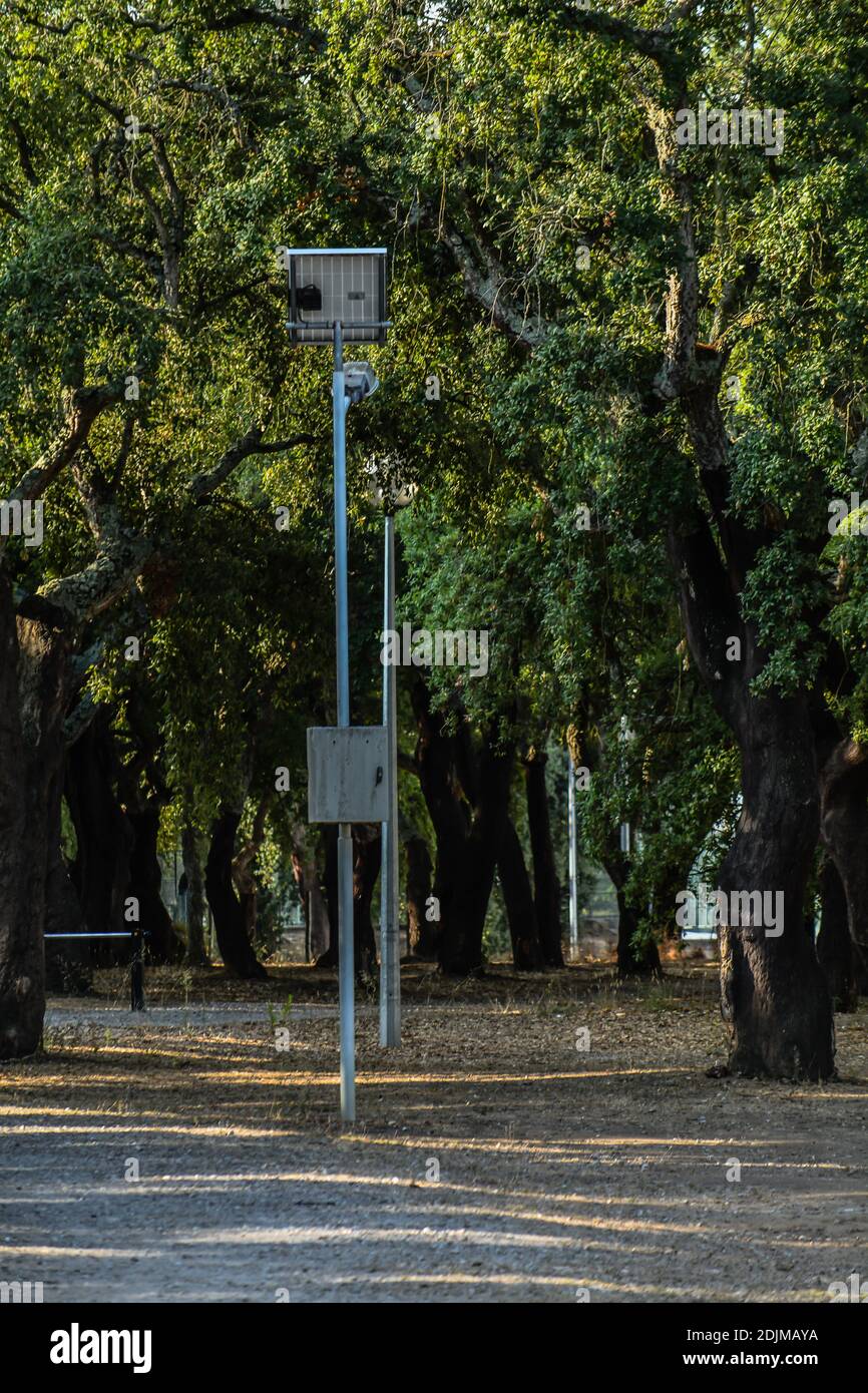 Road Sign By Trees On Street In City Stock Photo - Alamy