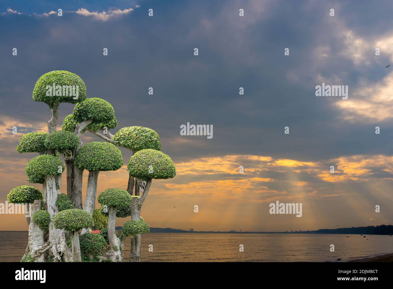 Japanese Cultural Roots High Resolution Stock Photography and Images ...