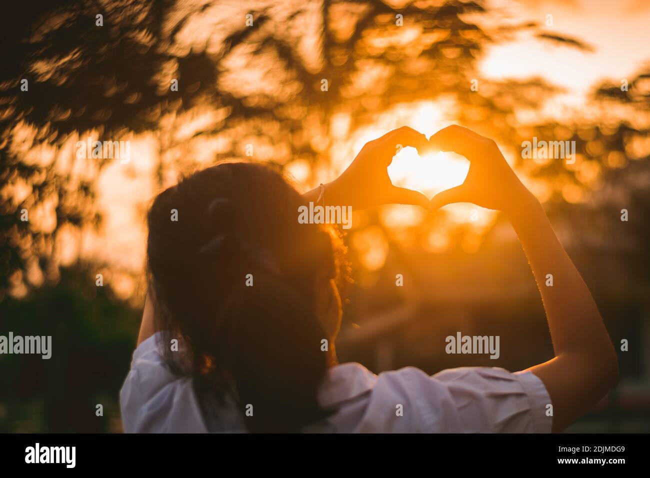 Human heart rear view hi-res stock photography and images - Alamy