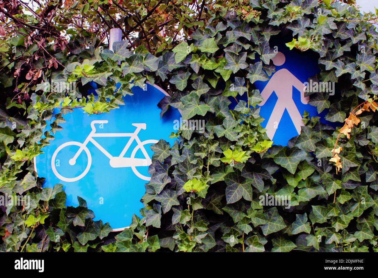 Partially hidden sign hi-res stock photography and images - Alamy