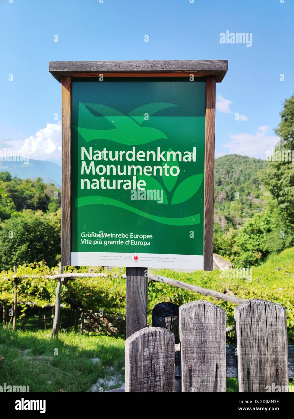 Information board on the natural monument of the largest grapevine in ...