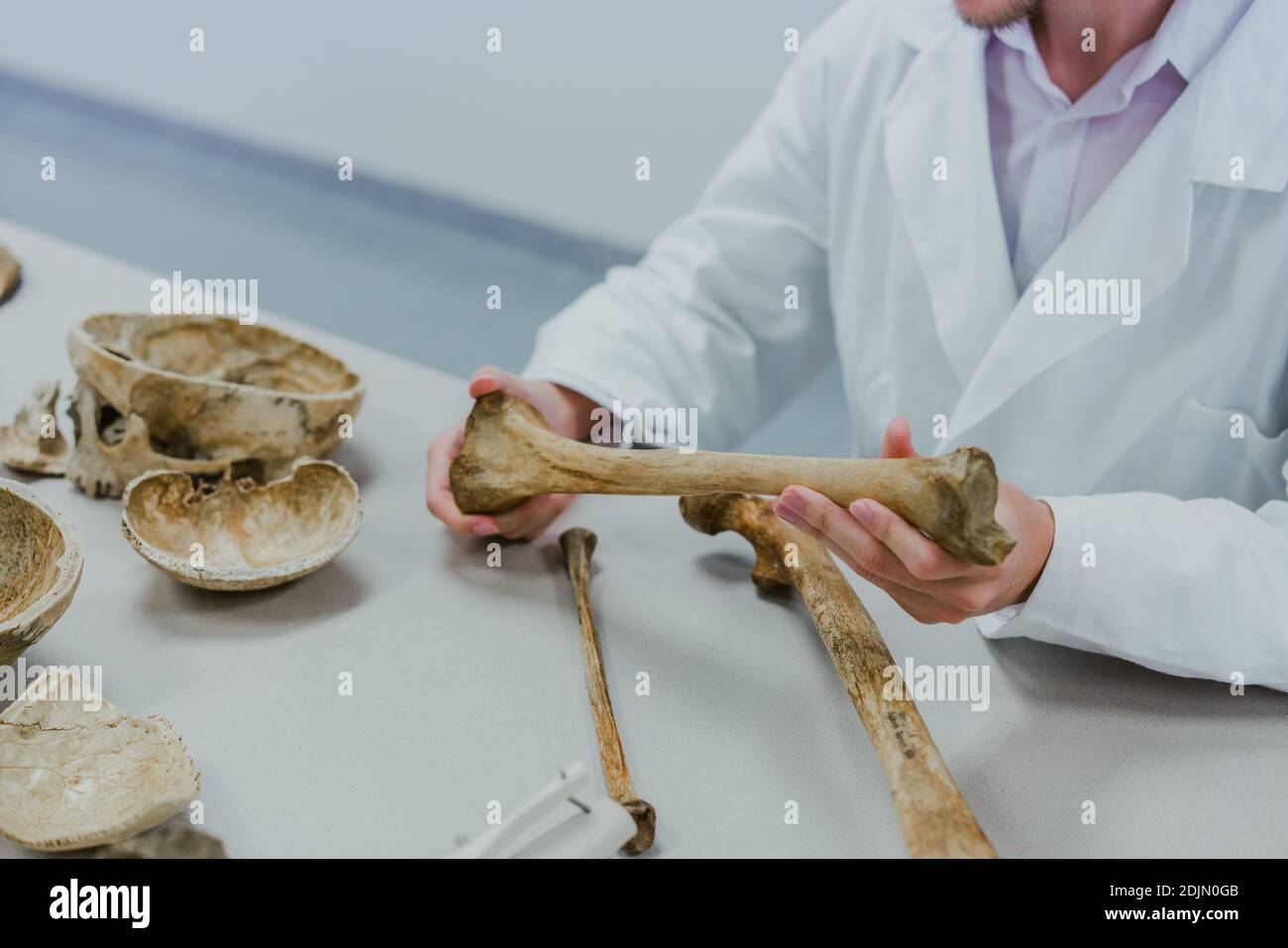 Tibia bone anatomy hi-res stock photography and images - Alamy
