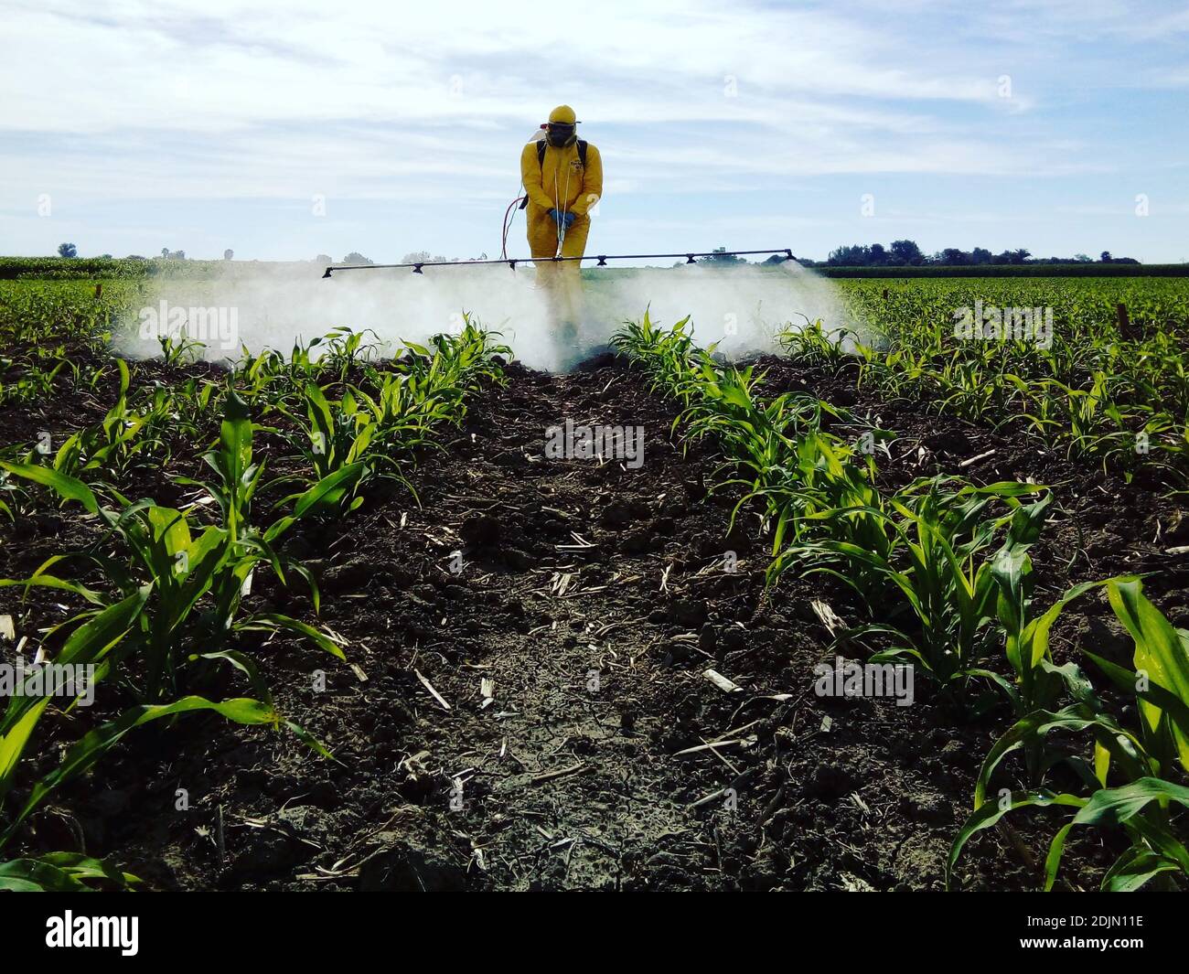 Man Spraying Pesticides High Resolution Stock Photography and Images ...