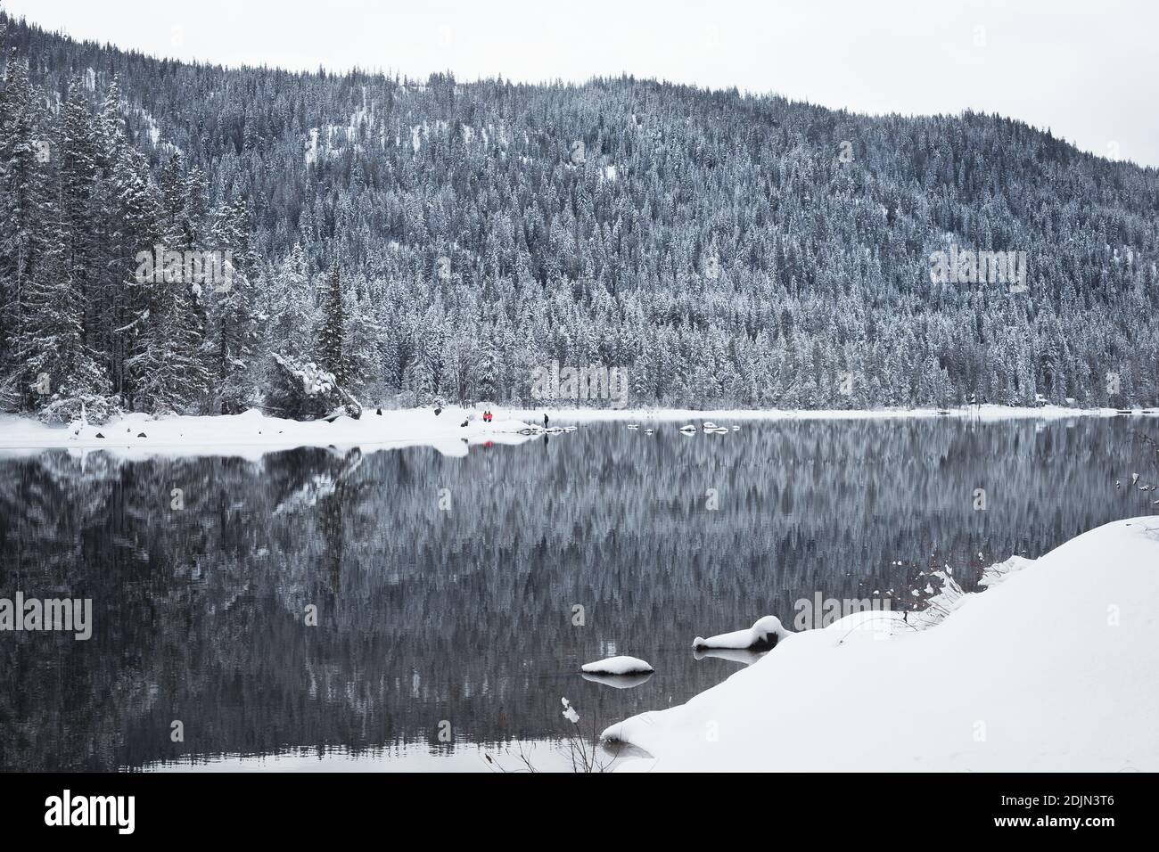 Holidays lake forest hi-res stock photography and images - Alamy