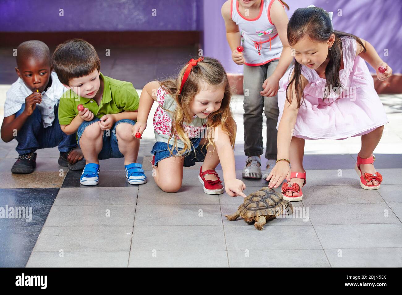 School tortoise hi-res stock photography and images - Alamy